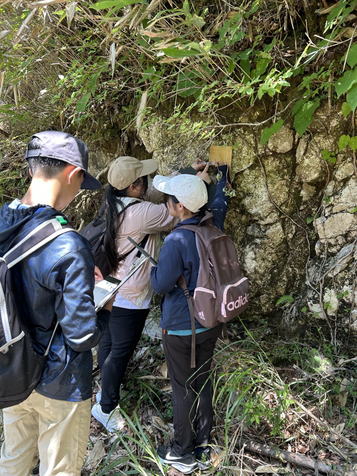 中高生のための科学実習～地学実習と森林実習～｜トピックス｜岡山県倉敷市のノートルダム清心学園 清心中学校・清心女子高等学校